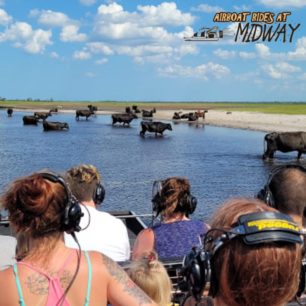 Get back to learning about nature with an Airboat Tour from Airboat ...